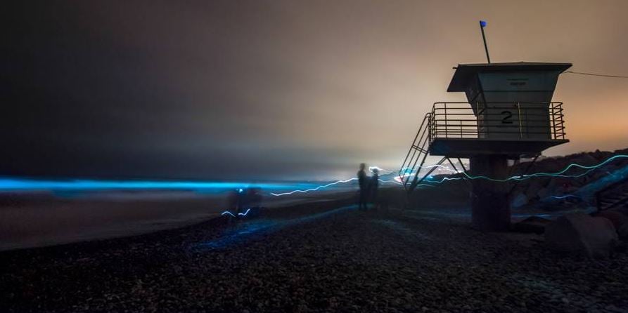 Red Tide, Blue Glow Light Up San Diego Beaches | Courthouse News Service