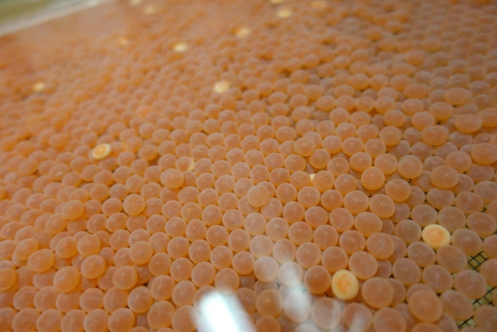 Alaskan fish farm to pay following hazardous waste explosion ...