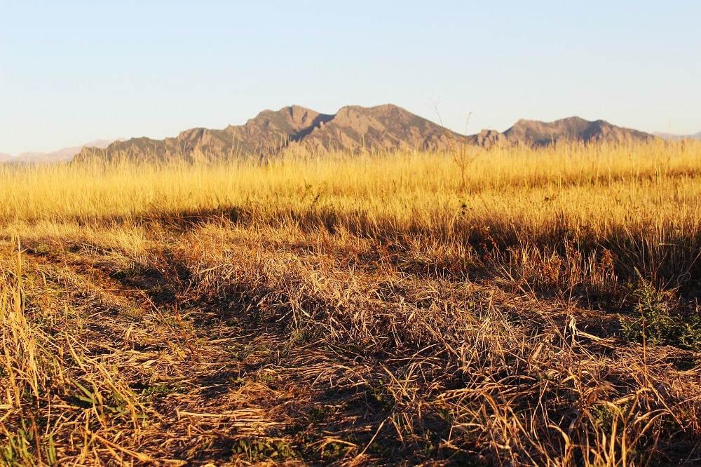 10th Circuit urged to revive challenge to hiking trails at nuclear bomb ...