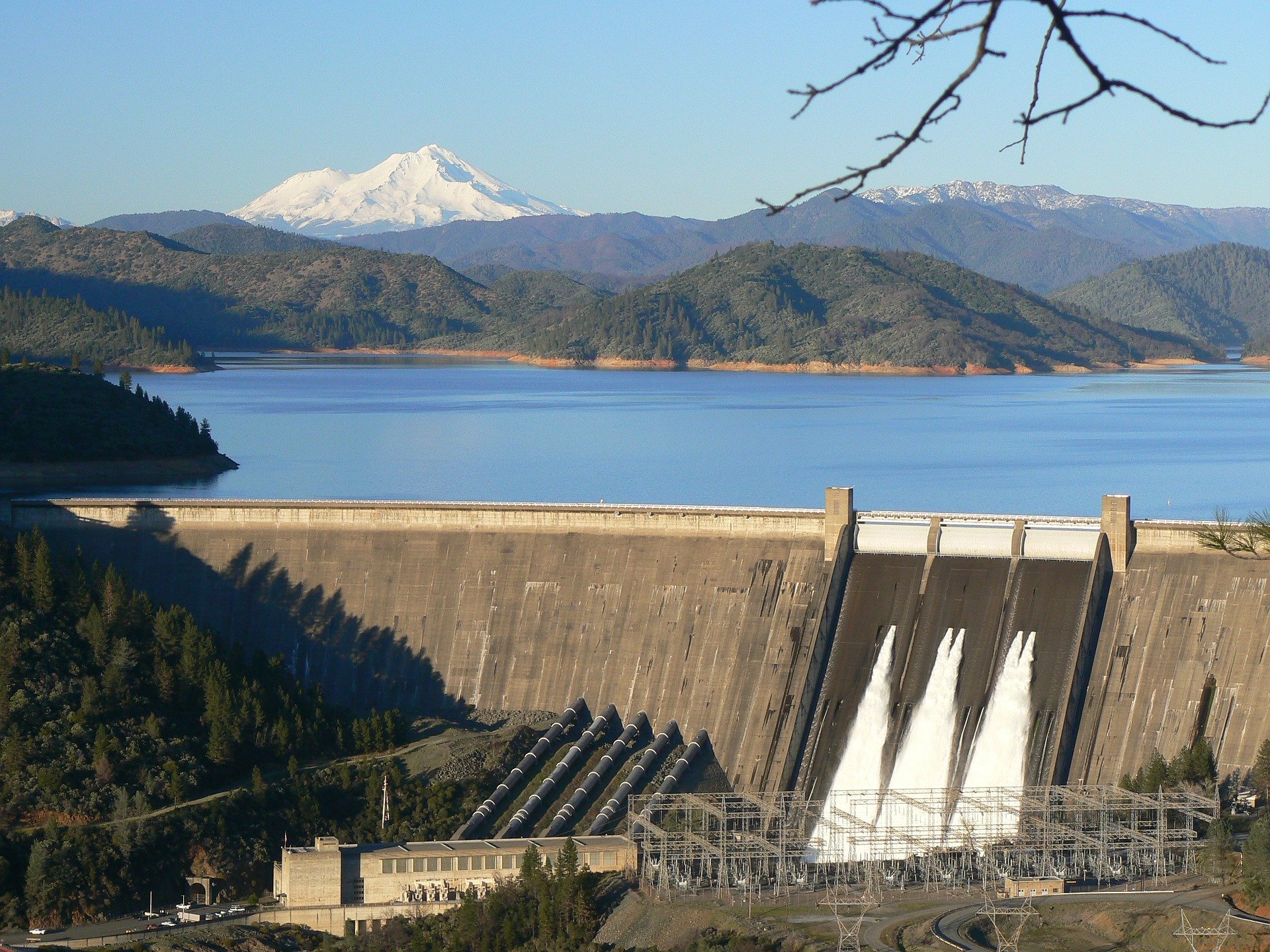 Dam Management Can Help Salmon and Sturgeon | Courthouse News Service