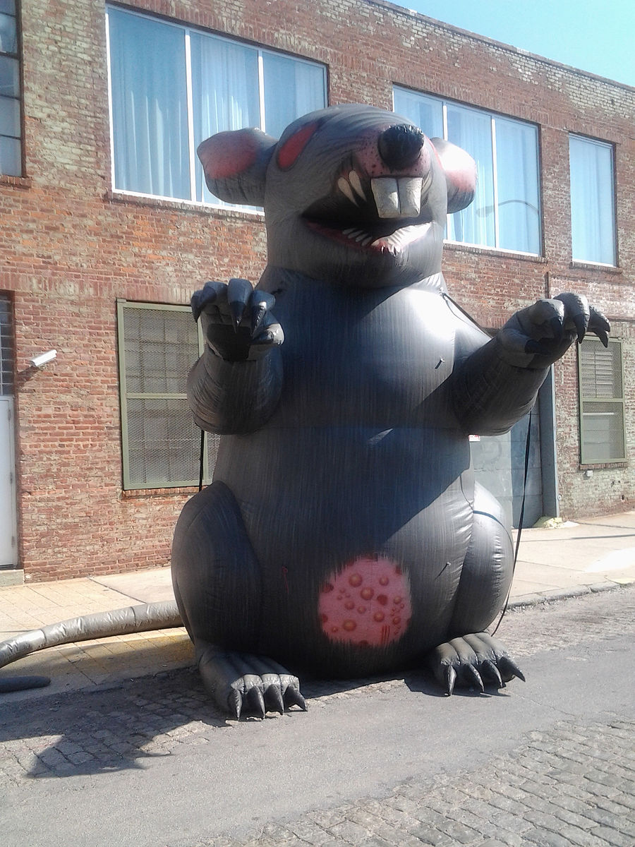 Ballooning Dispute: America’s Giant Inflatable Rats Under Attack ...