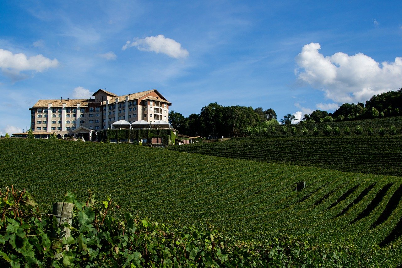 Brazil’s Sparkling Wine Producers Carve a Growing Niche | Courthouse ...