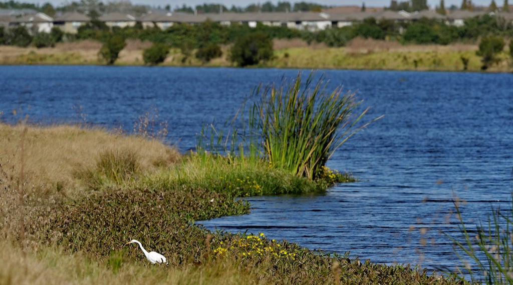Florida water permits | Courthouse News Service
