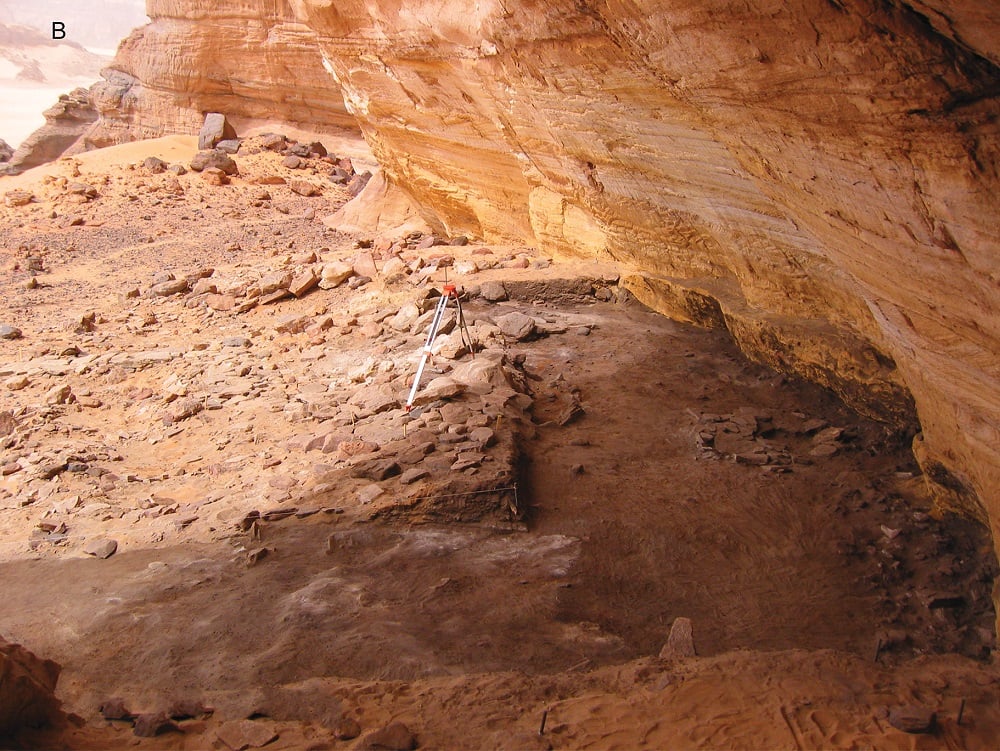 Fish in the Sahara? Yes – 10,000 Years Ago | Courthouse News Service