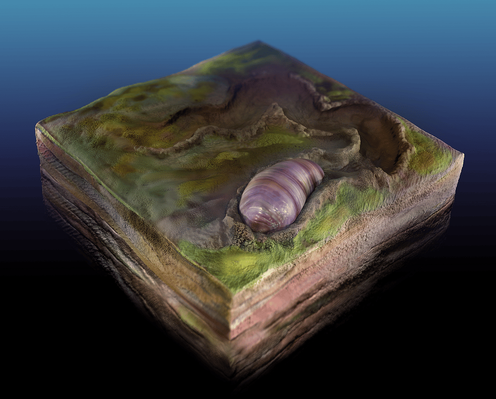 Worm-Like Creature Ancestor of Humans and Most Modern Animals ...