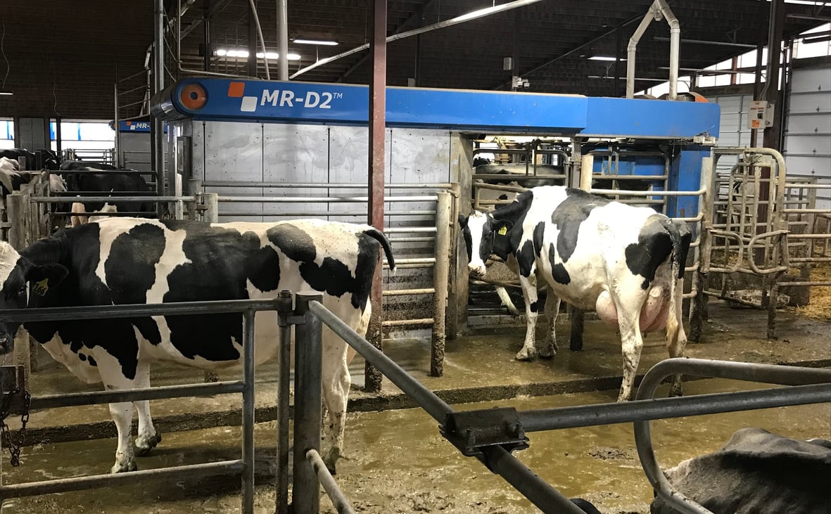 Wisconsin Farms Await Relief as Pandemic Slams Dairy Industry ...
