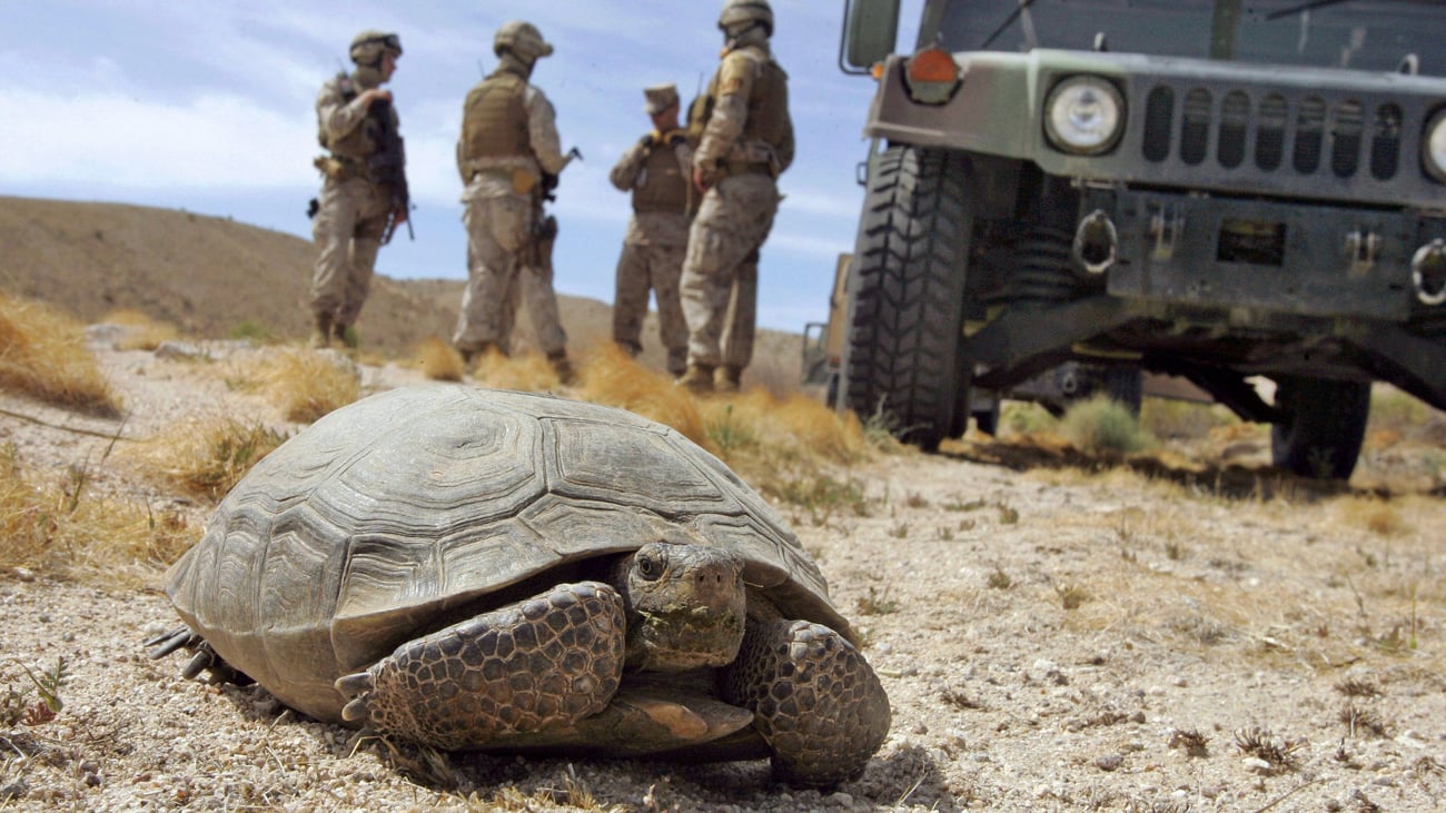 Former public defender testifies about excessive workload | Courthouse ...