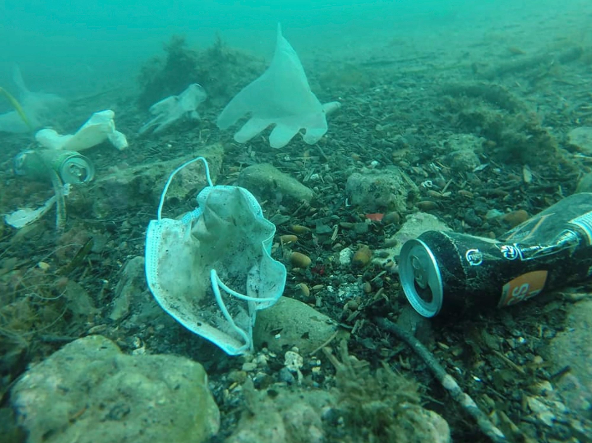 Atlantic Plastic Levels Far Higher Than Thought: Study | Courthouse ...