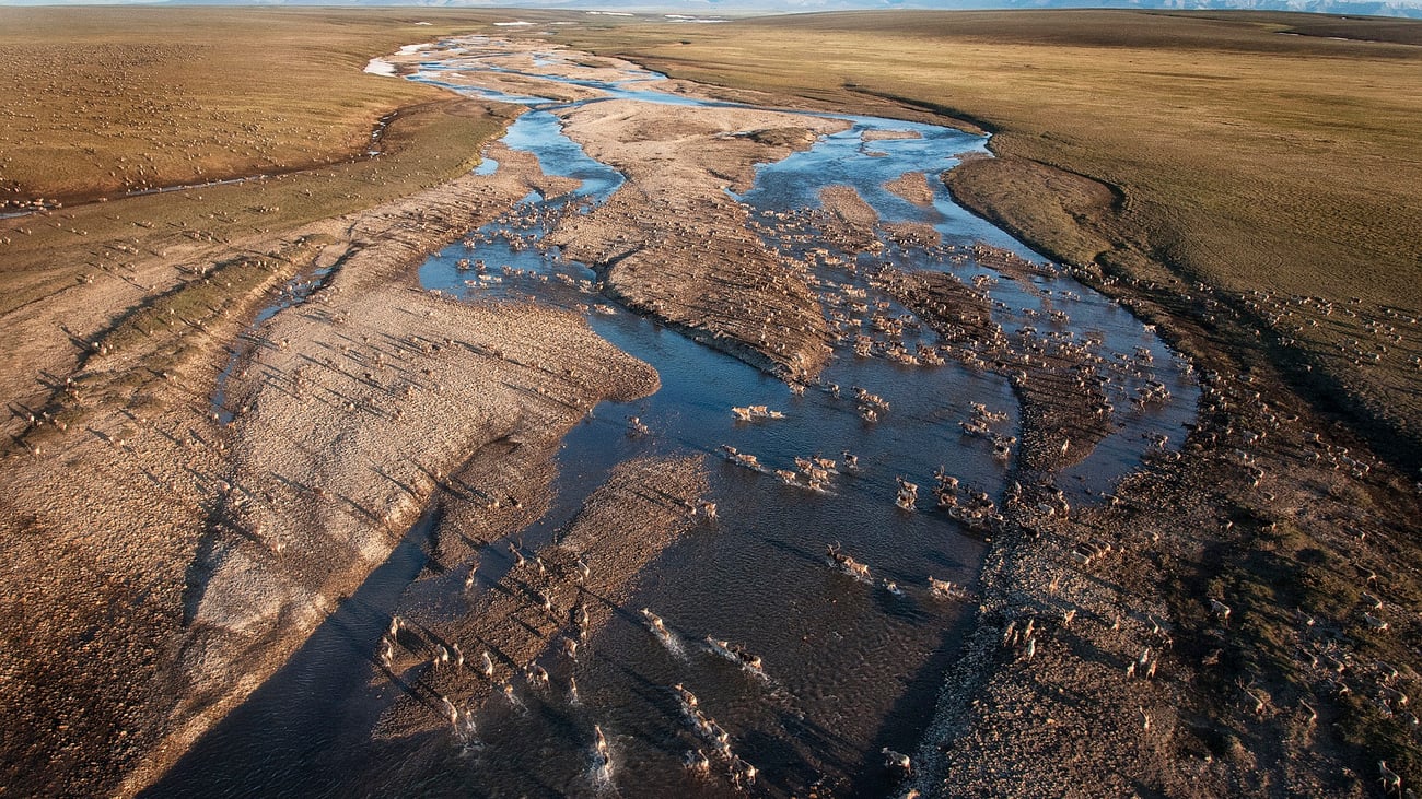Alaska loses fight over Arctic National Wildlife Refuge border ...