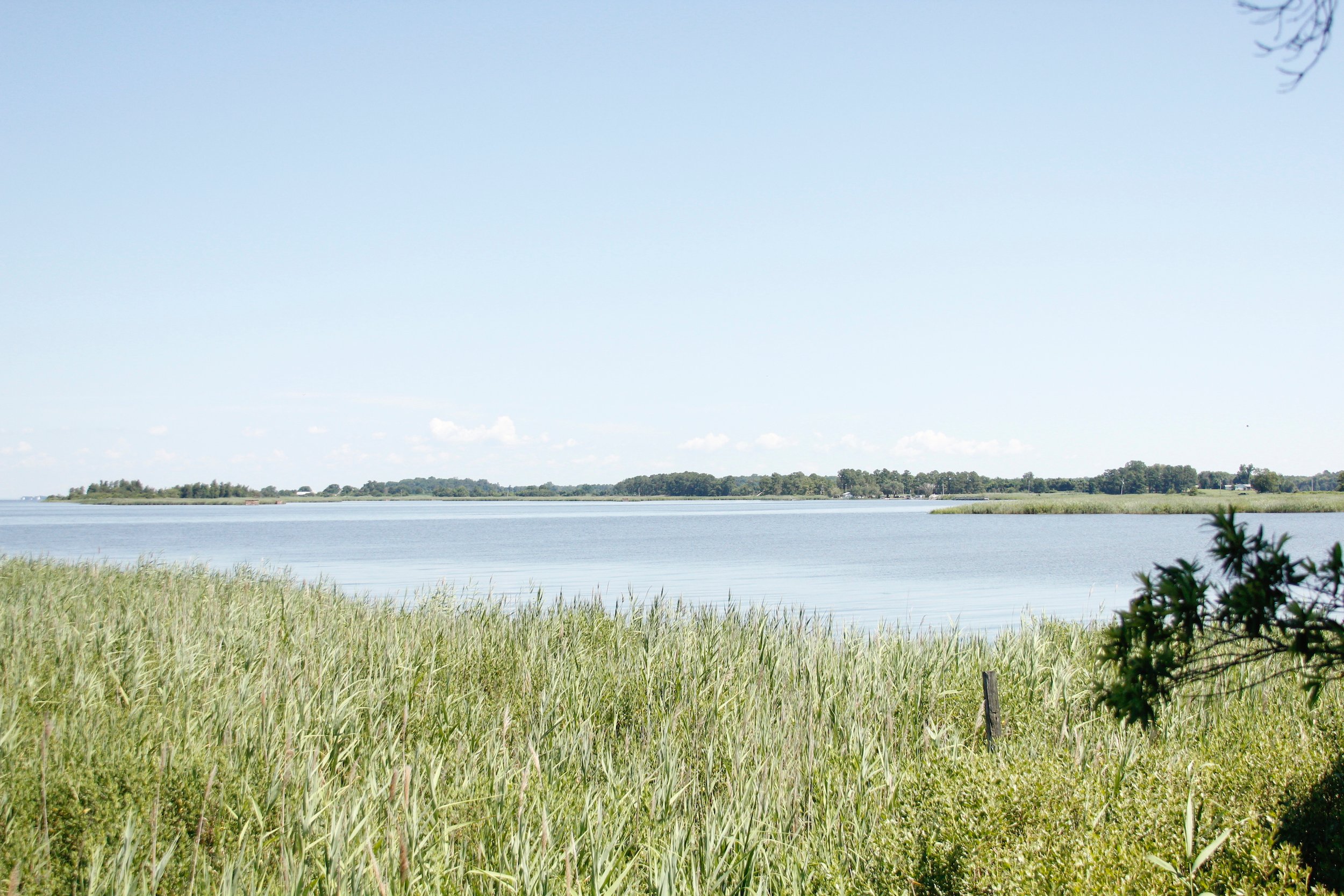 EPA Nixes Trump Clean Air Rule for Hurting Public Health | Courthouse ...