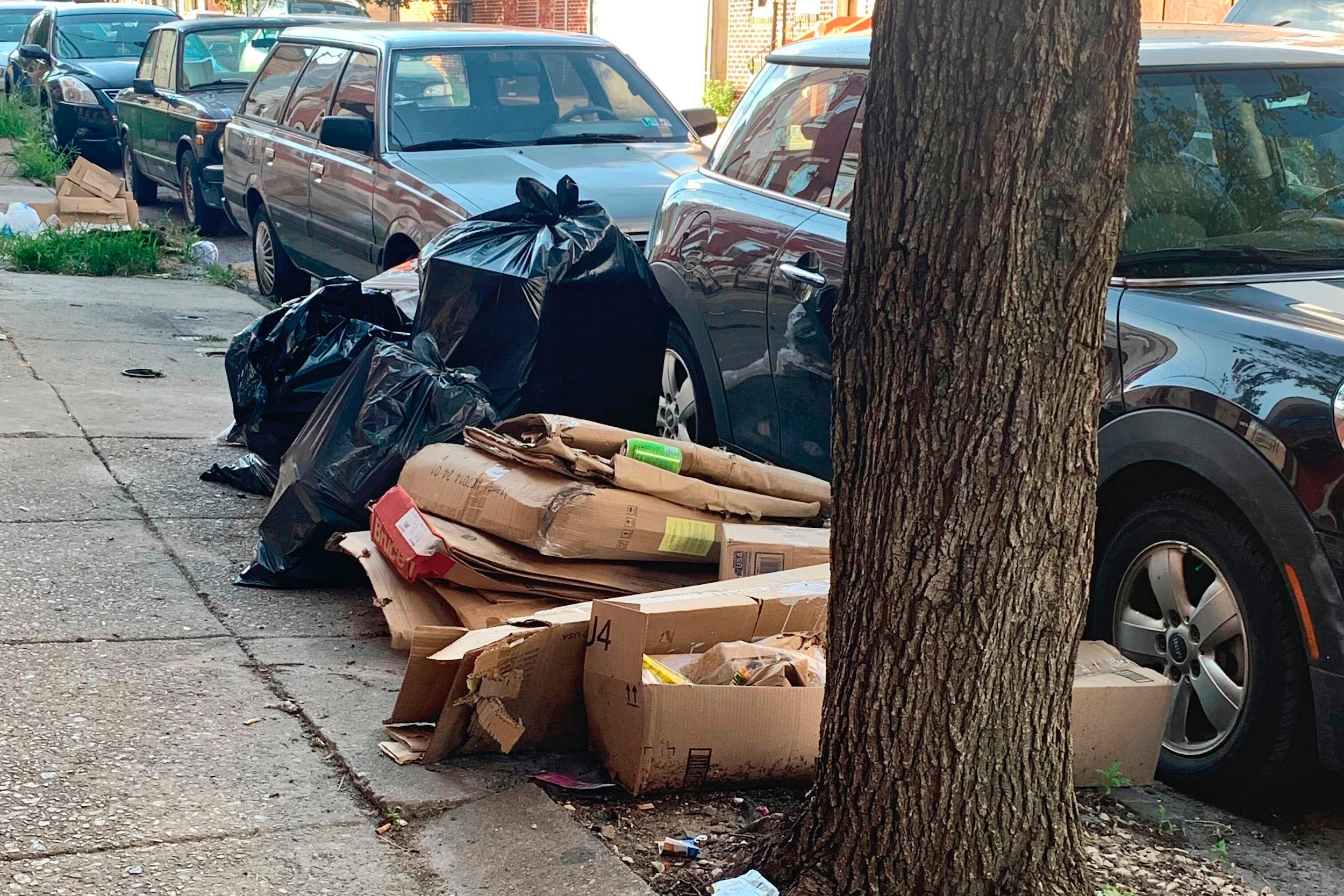 Philadelphia Trash Piles Up as Pandemic Continues | Courthouse News Service