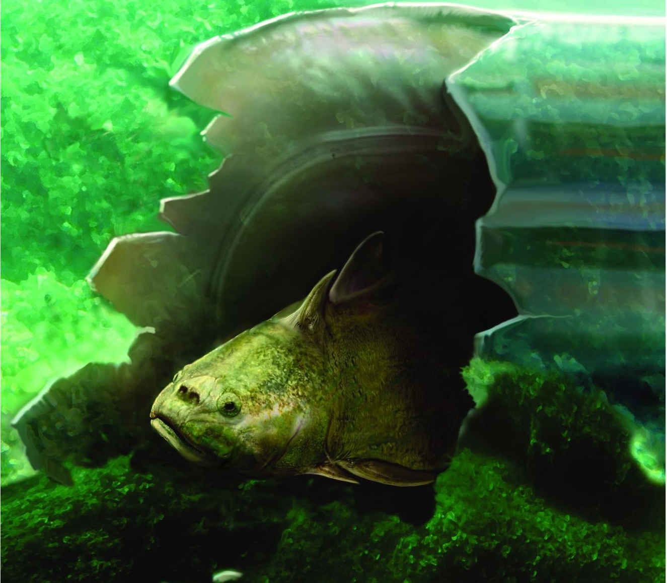 Origin of Human Teeth Traced to Primitive Prehistoric Fish | Courthouse ...