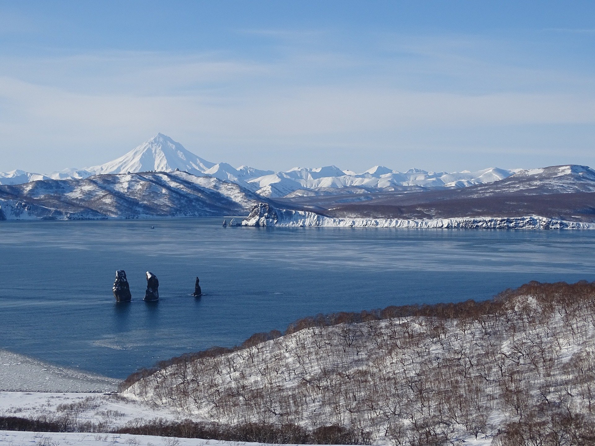 Kamchatka Marine Life Death Caused by Algae: Russian Scientist ...