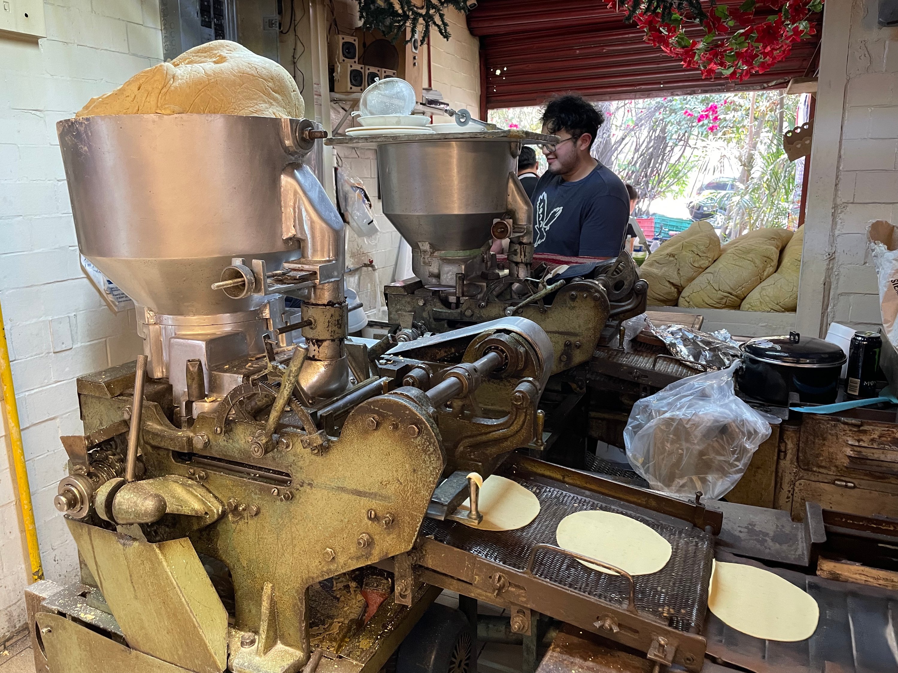 Mexico president welcomes arbitration in GMO corn fight with US ...