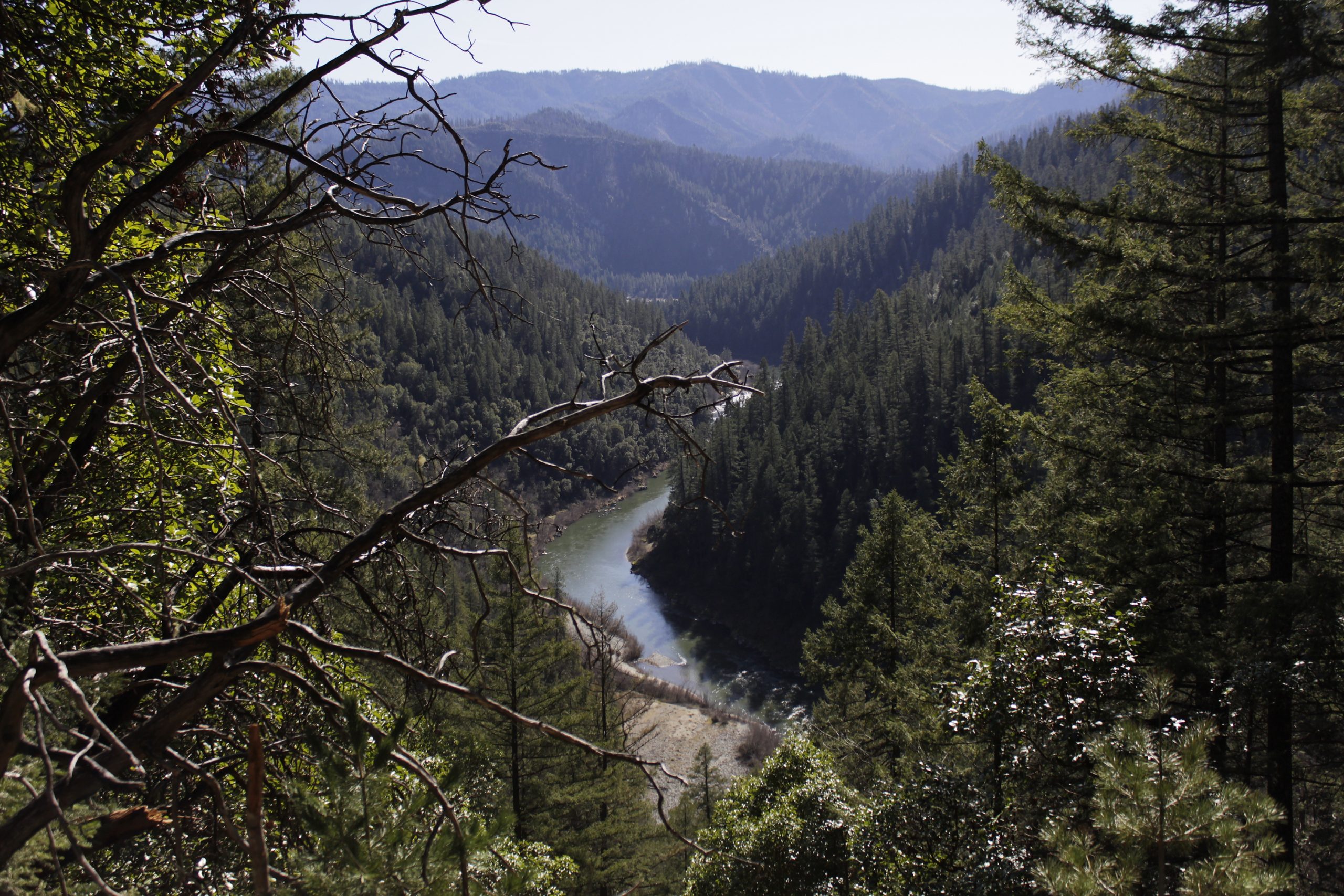 California details path to reintroducing fish into Klamath River ...