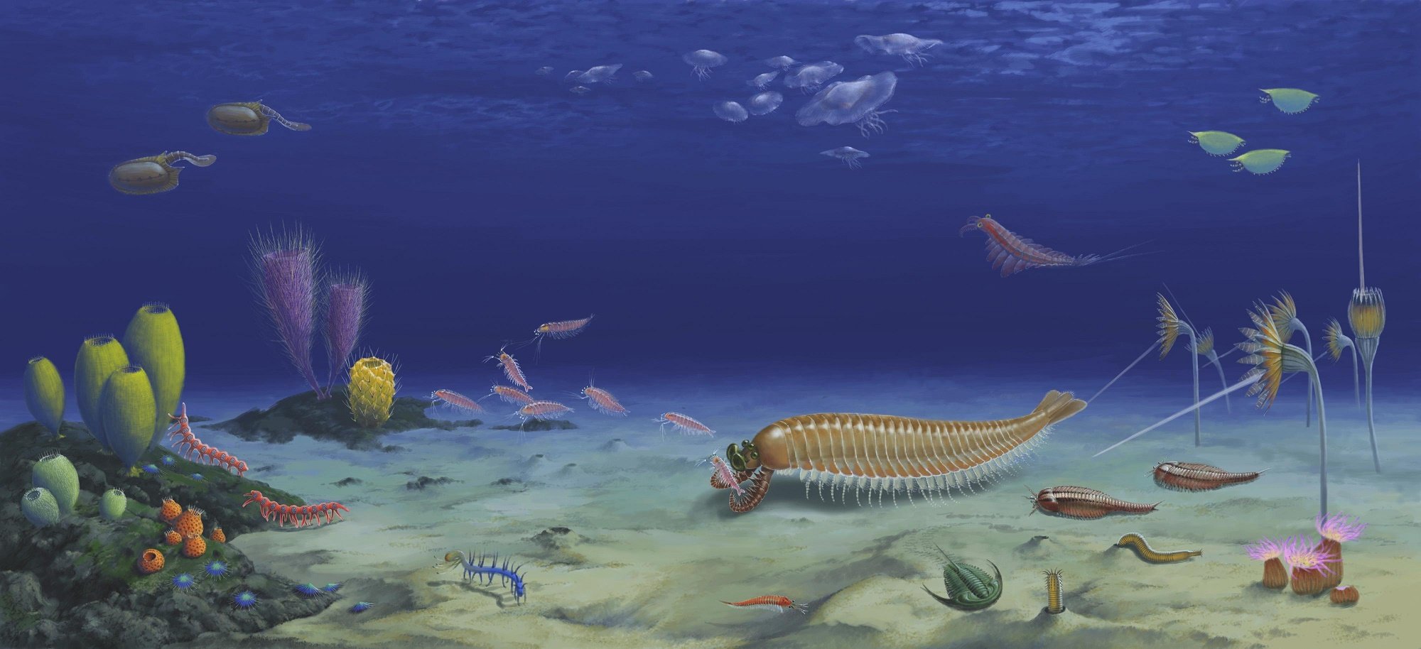 A 520 Million-Year-Old, 5-Eyed Fossil Reveals Origin of Arthropods ...