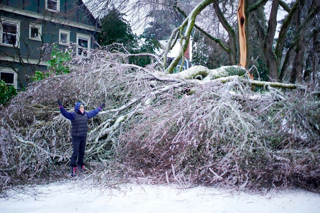 Oregon Ice Storm Subsiding, but Many Still in the Dark | Courthouse ...