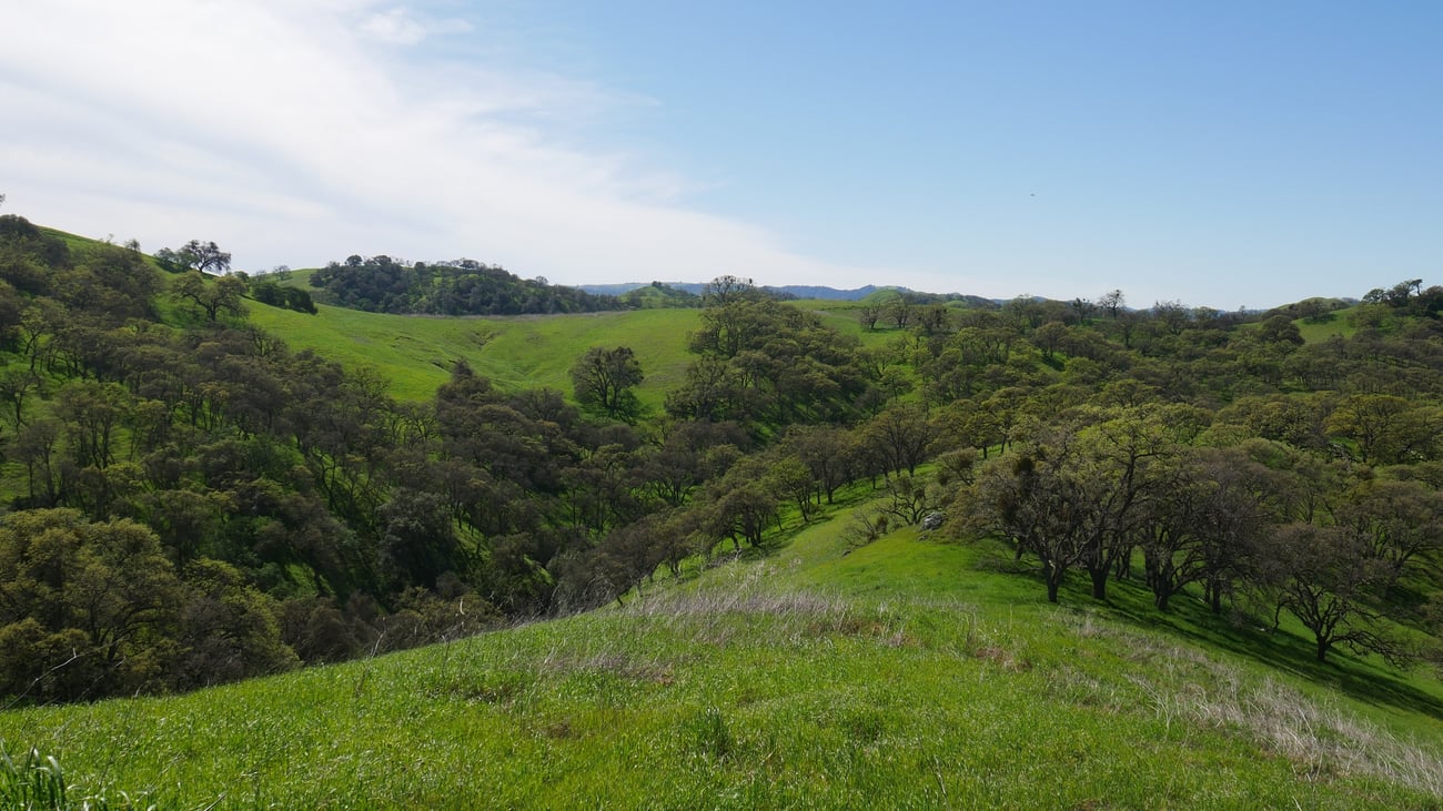 Feds plan to lease 1 million acres in California to oil, gas developers ...