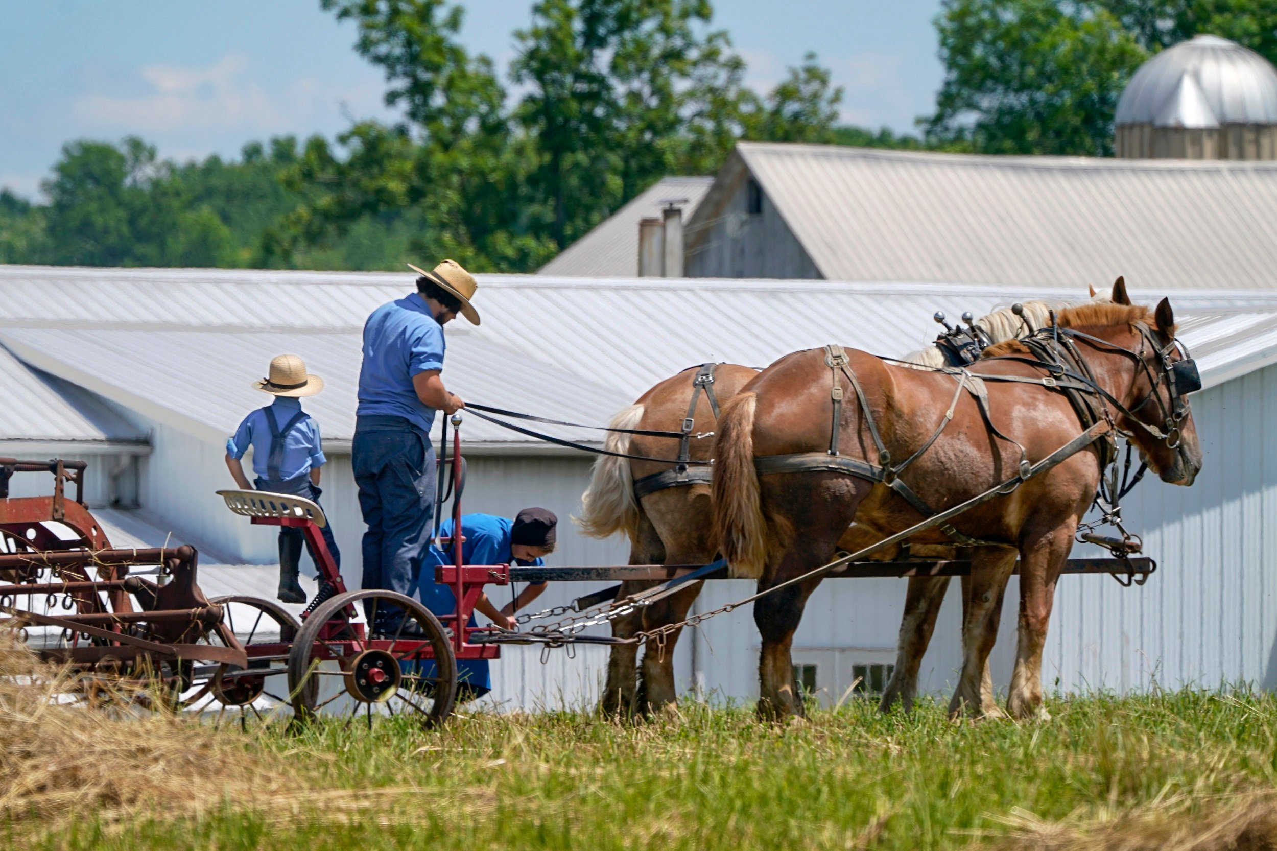 Minnesota Amish community can skip septic systems, state appeals court ...