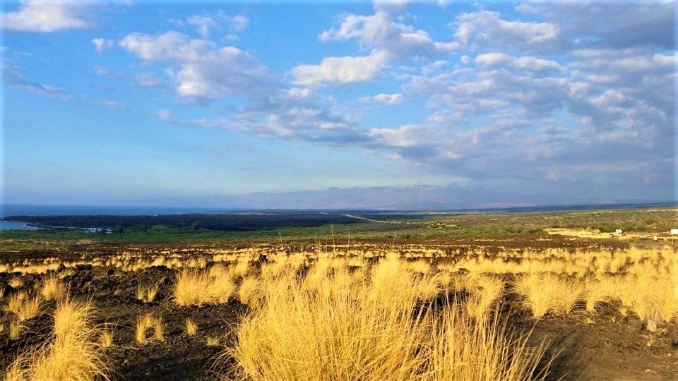 Biomass plant appeals to Hawaii Supreme Court to begin operations ...