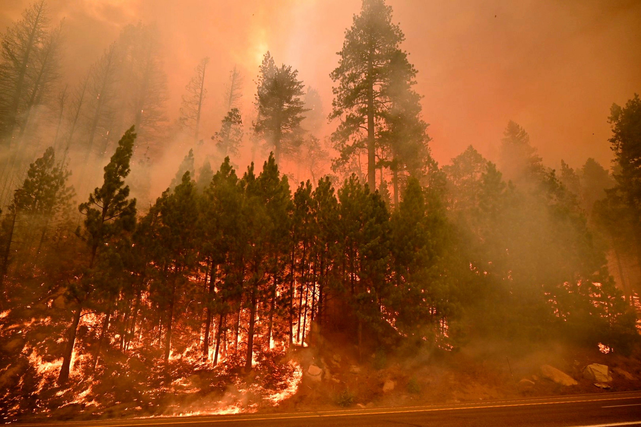 Native Americans managed wildfire risk with controlled burns for ...