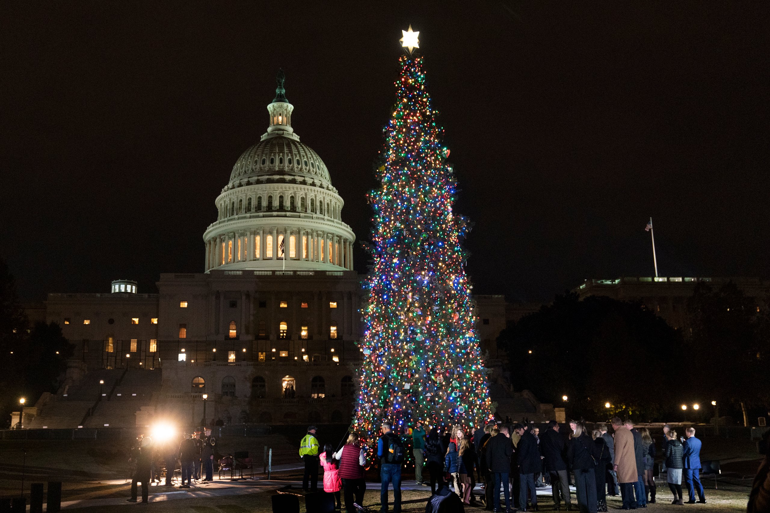 Holiday gift guide | Courthouse News Service