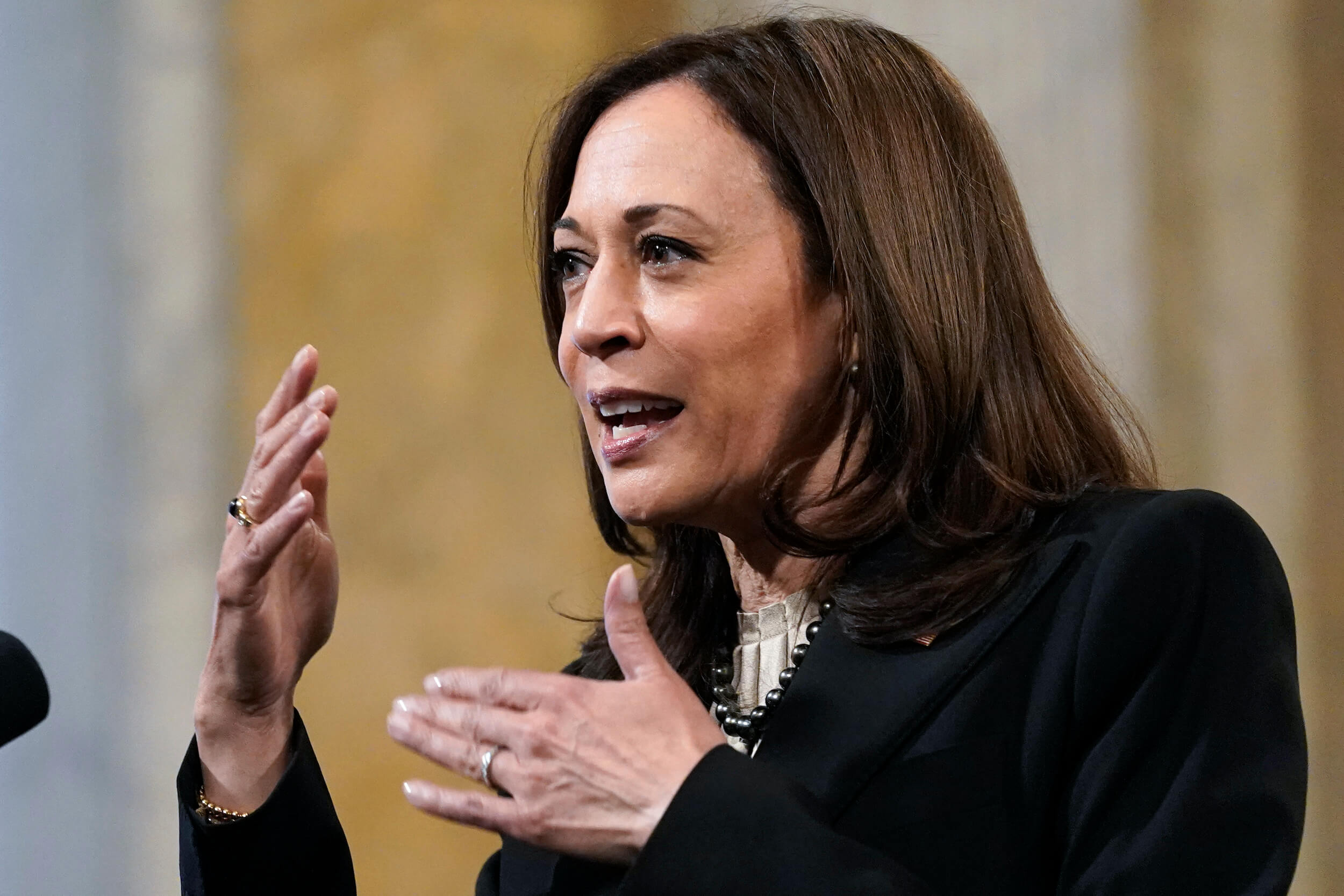 Harris launches presidential campaign with Democratic Party’s blessing ...