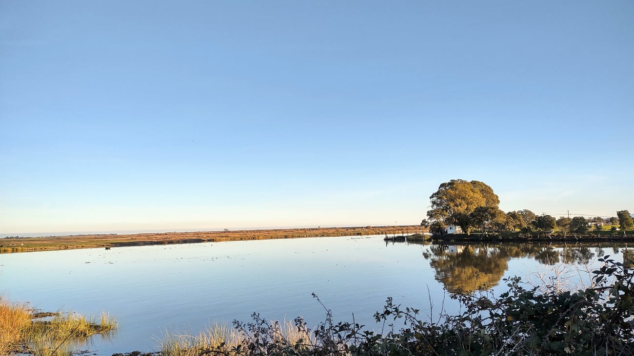 California appellate court upholds bar on revenue bonds for Delta ...