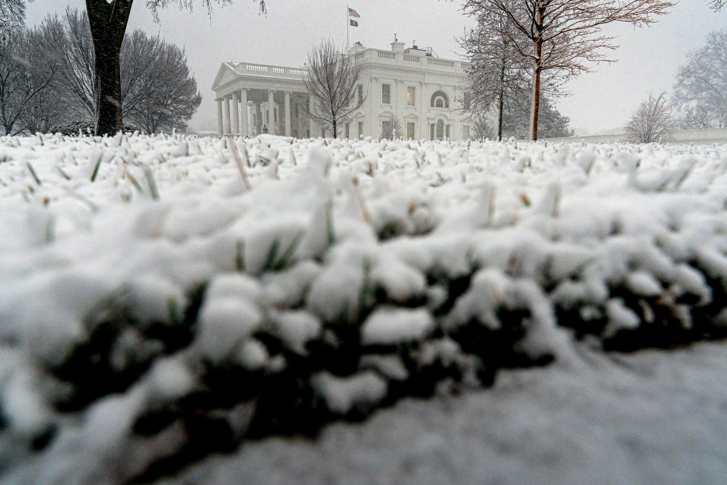 School, work, travel can wait as snow blankets US capital | Courthouse ...