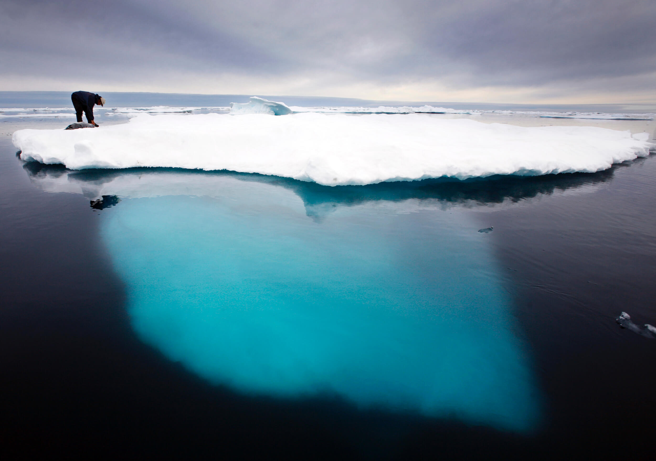 Greenland ice cap loses enough water in 20 years to cover US: Study ...