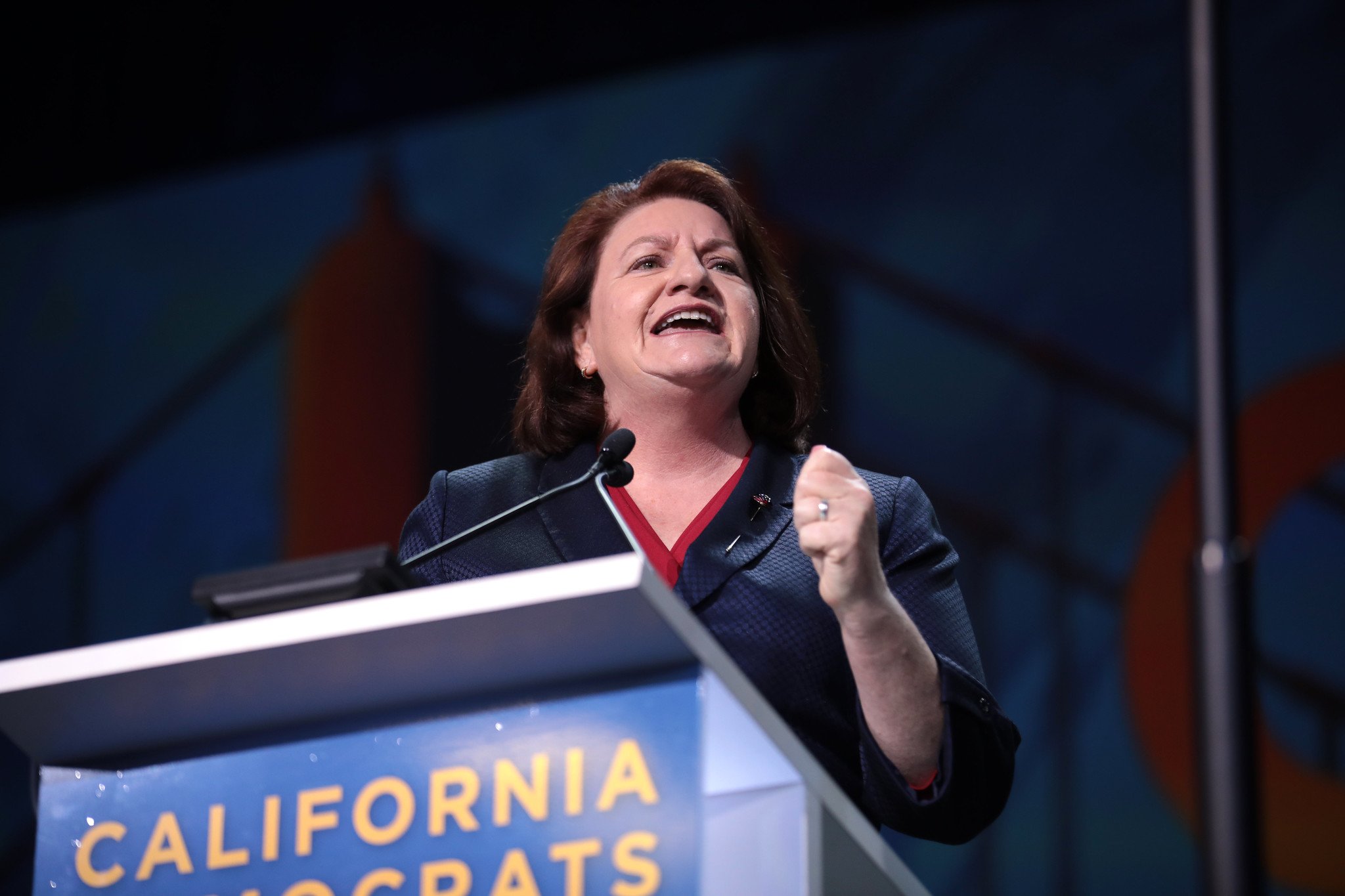 California Senate chief Toni Atkins announces bid for governor ...