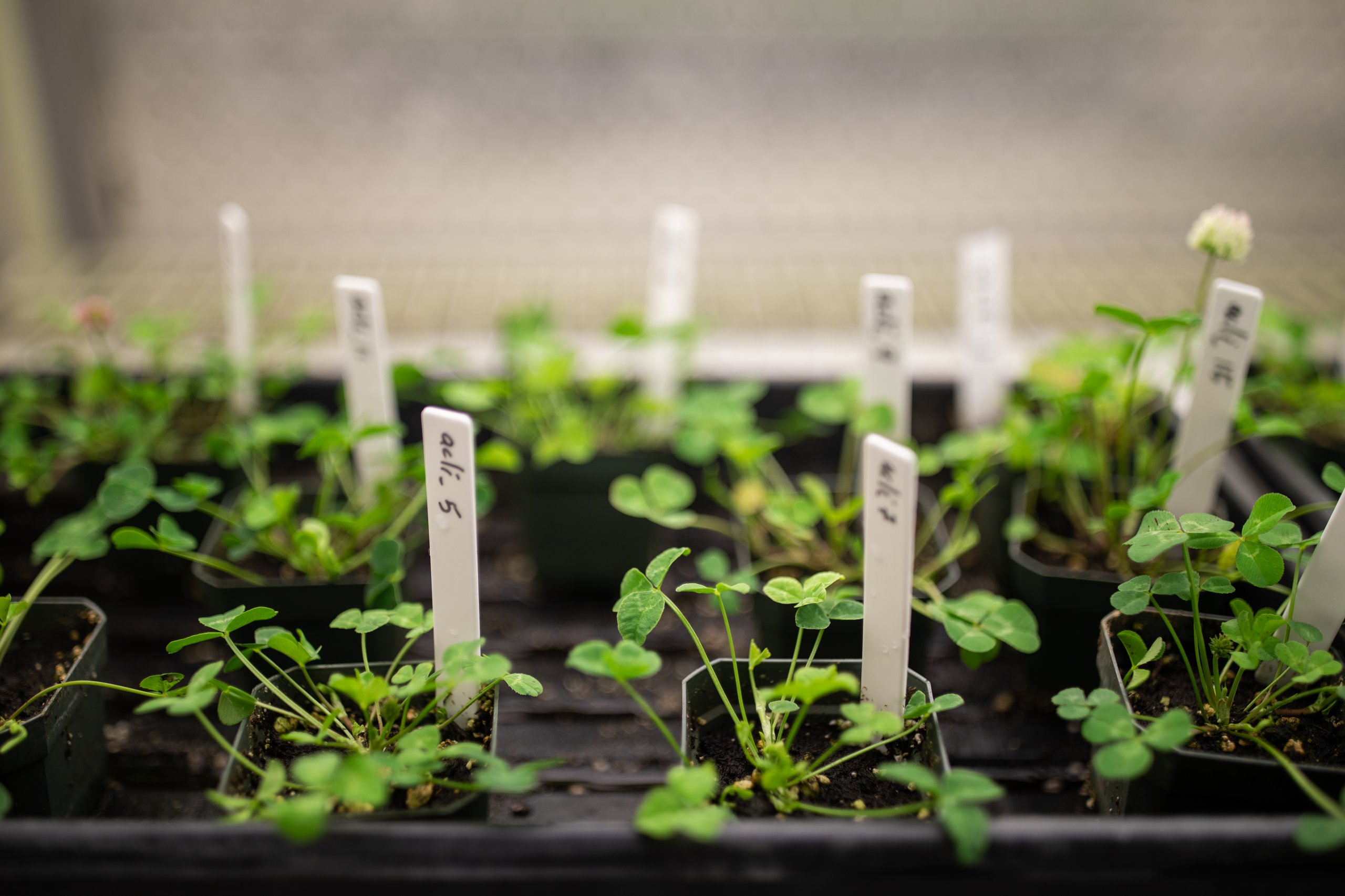 New research showcases humankind’s unprecedented role in changing ...