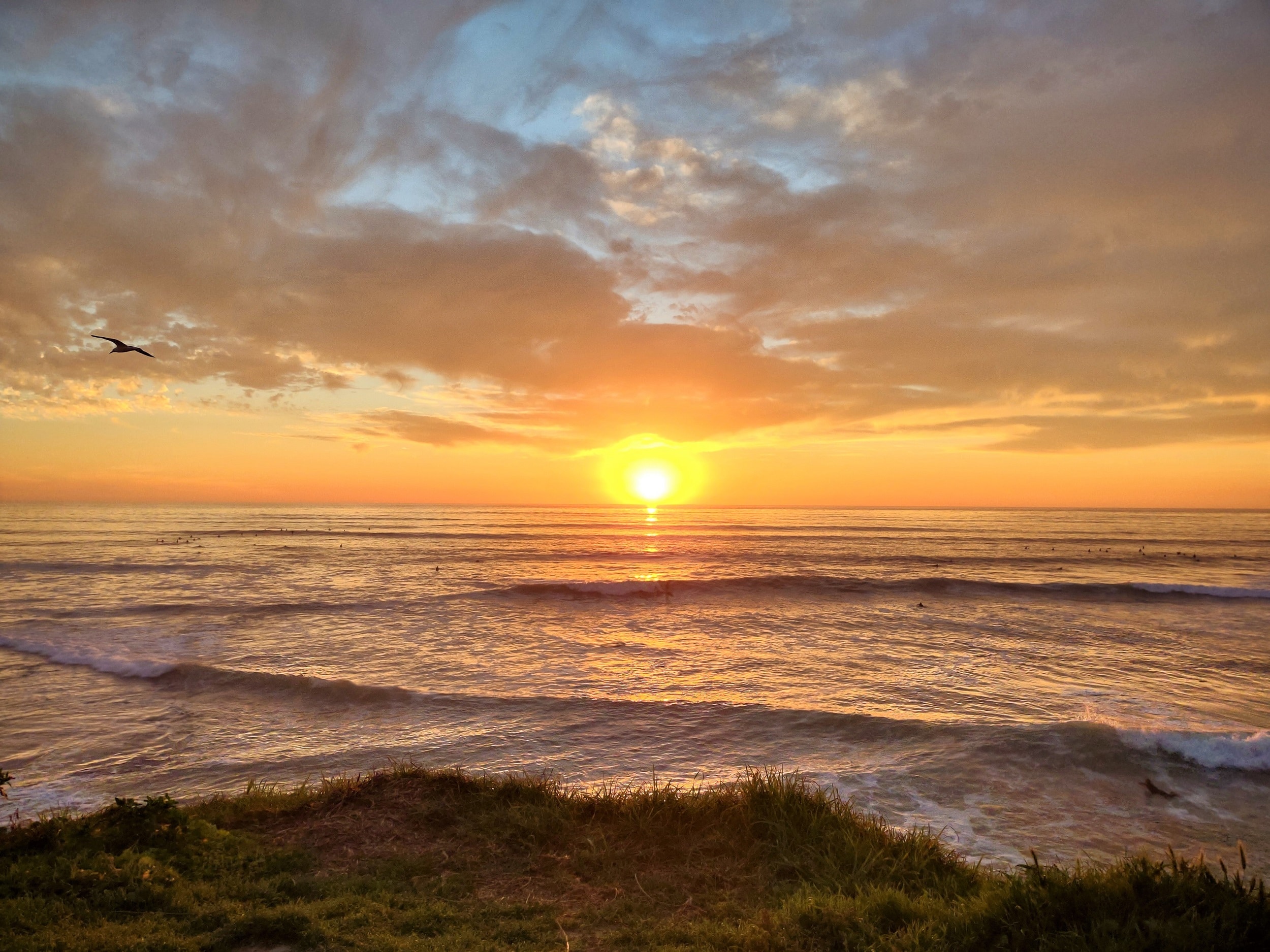 Clean air, water, environment amendment passes first hurdle in ...