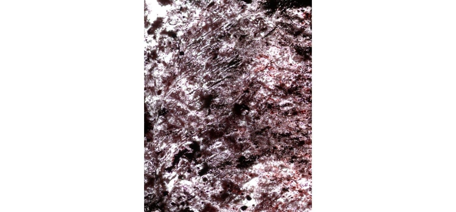 New study finds life began earlier than previously thought | Courthouse ...