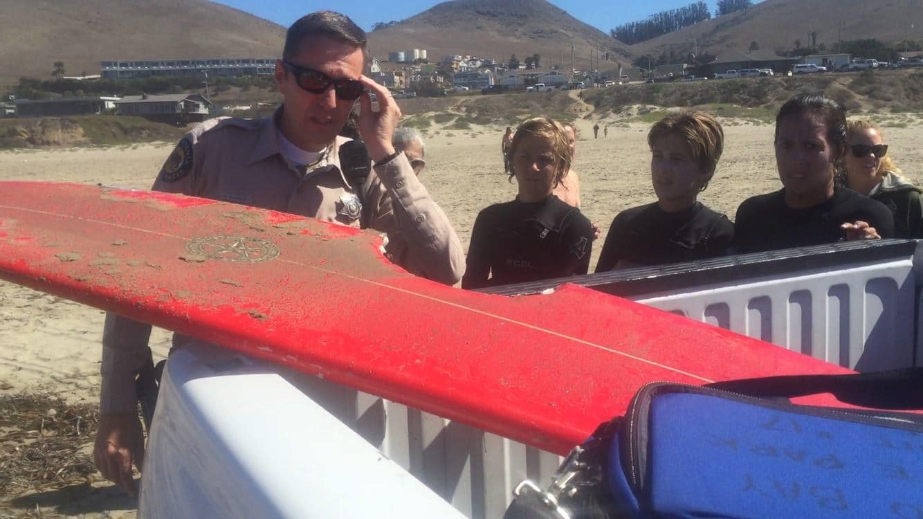 ‘We’re gonna need a bigger board’: A surfer shares his Shark Week tales ...