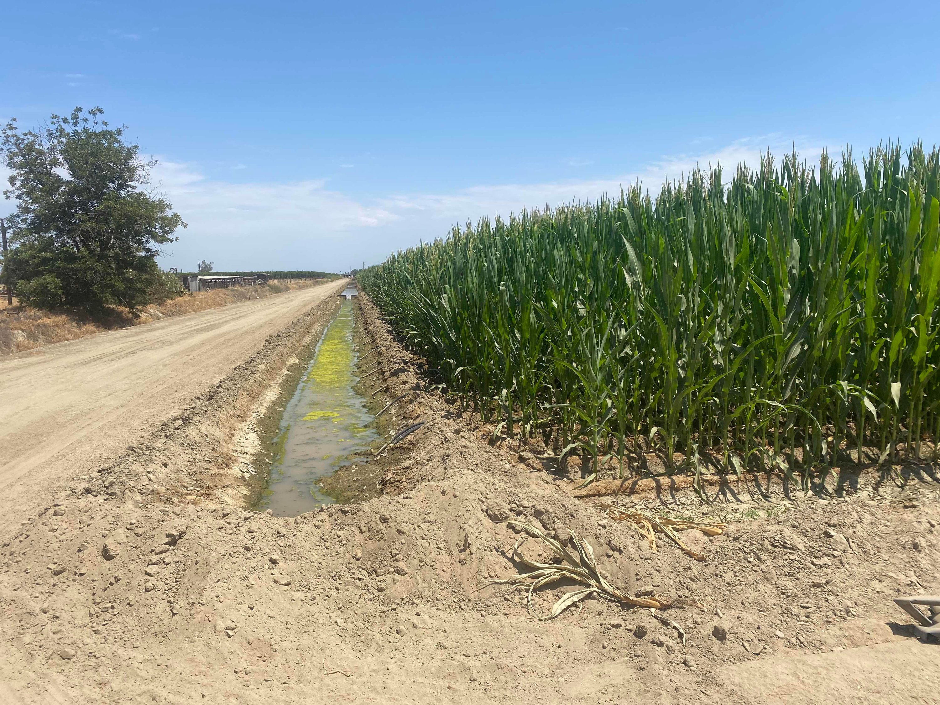 California invests in critical Central Valley water infrastructure ...