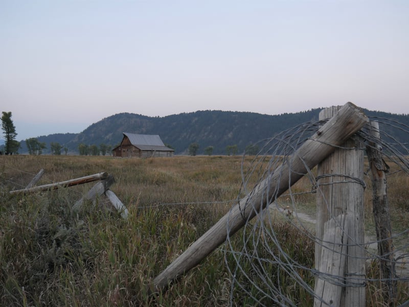 Dispatches from the road: Look the other way | Courthouse News Service