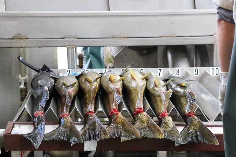 Packaged food distributor faces consumer class action over industrial ...