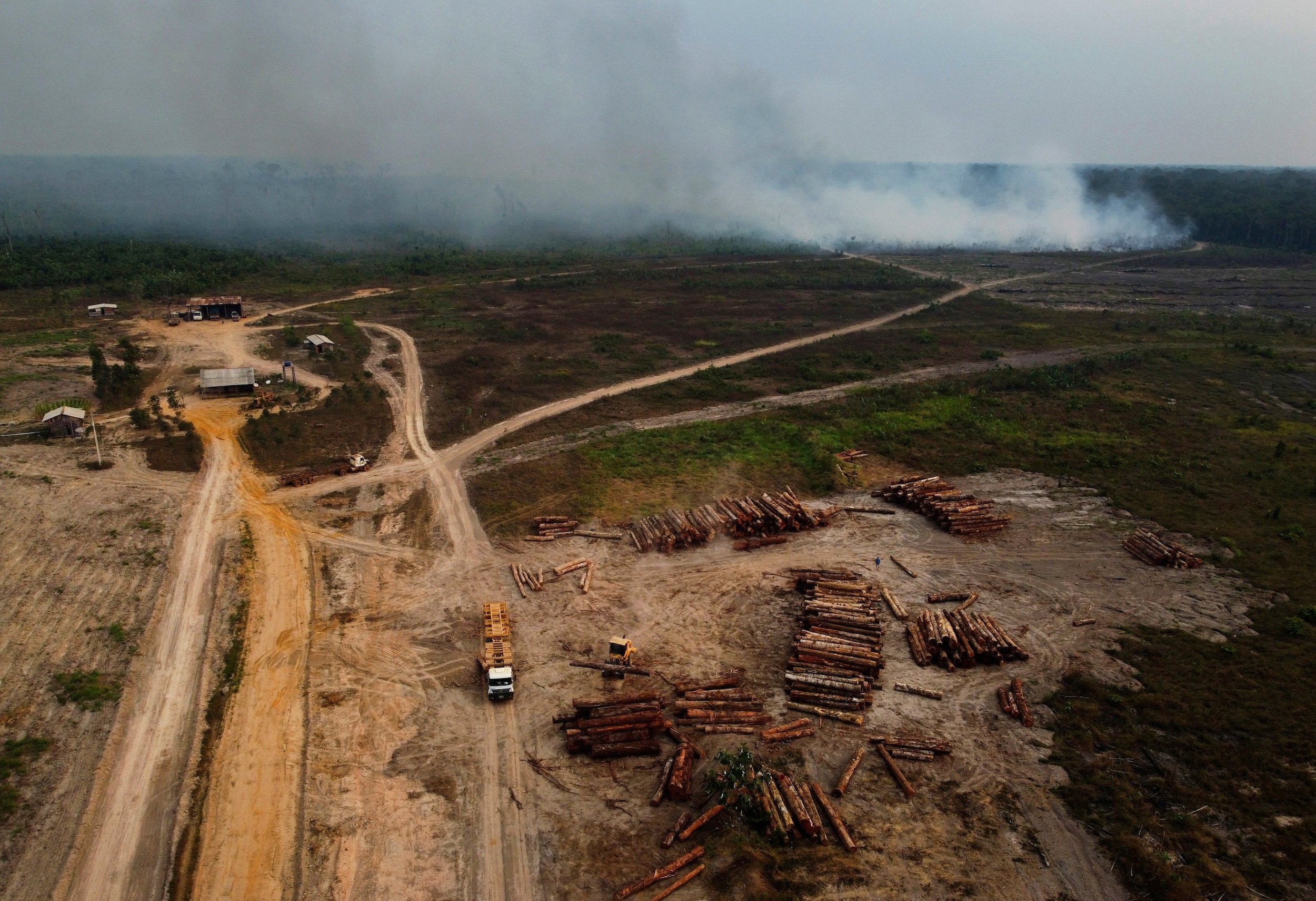 Deforestation in Brazil’s Amazon drops by nearly 31% compared to ...