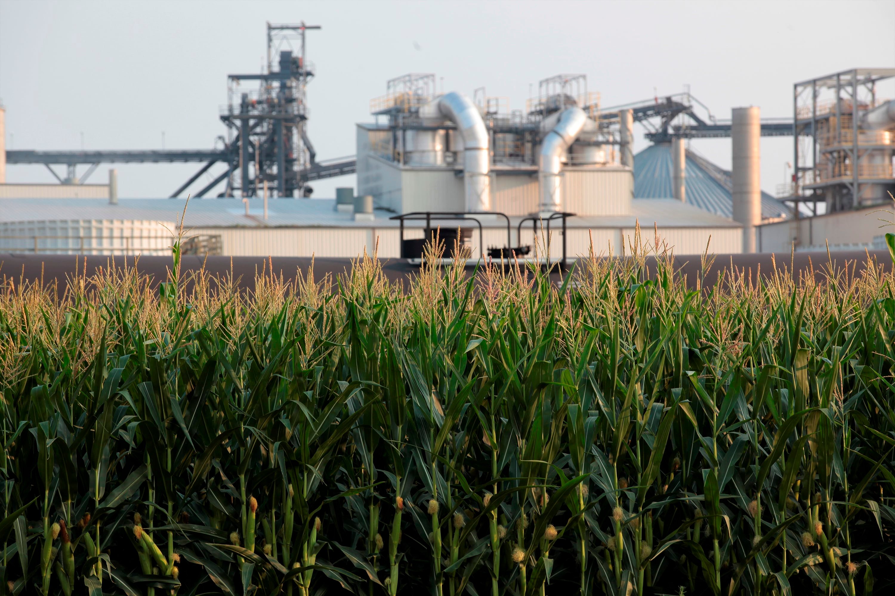 Iowa, Nebraska sue EPA over ethanol fuel blends | Courthouse News Service