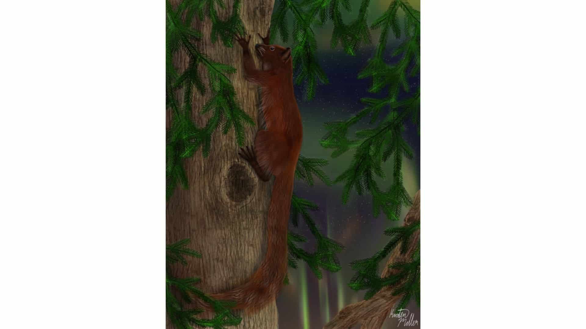 Squirrel-like creature fossils tell tale of climate change in Arctic ...