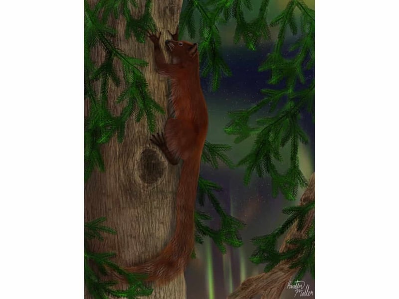Squirrel-like creature fossils tell tale of climate change in Arctic ...