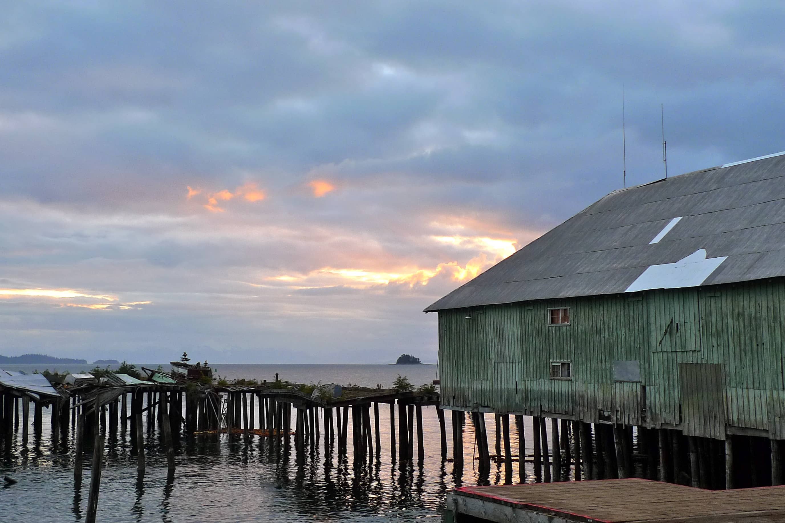 Alaska fights federal approval of emergency subsistence hunt for Native ...