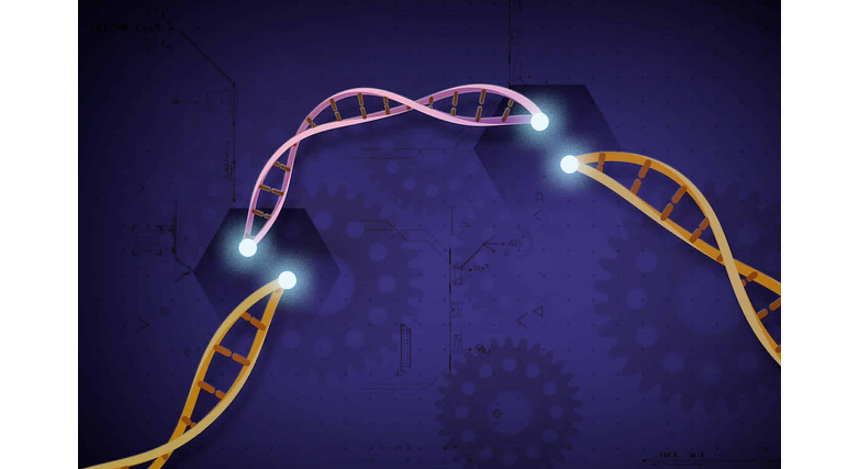 Dormant DNA from ancient viruses helps fuel modern cancers in humans ...