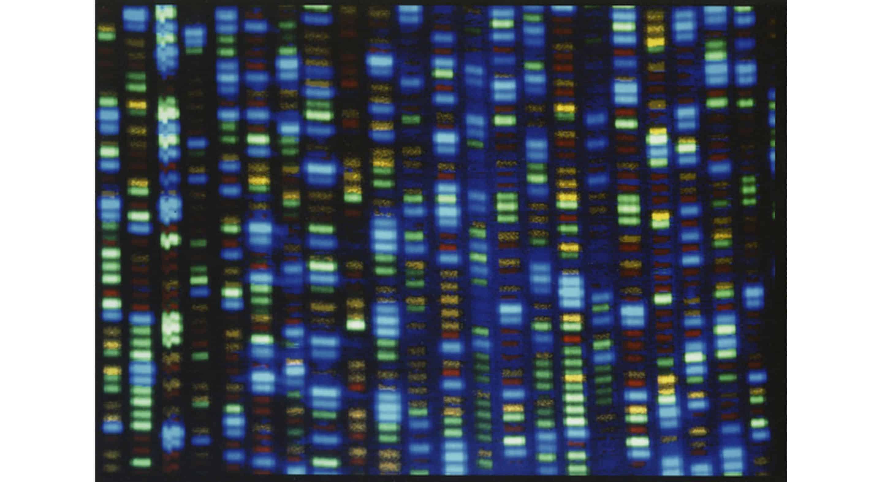 AI just designed working DNA for the first time | Courthouse News Service