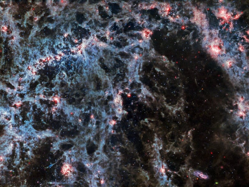 Polish students get first look at new Webb telescope images of distant ...