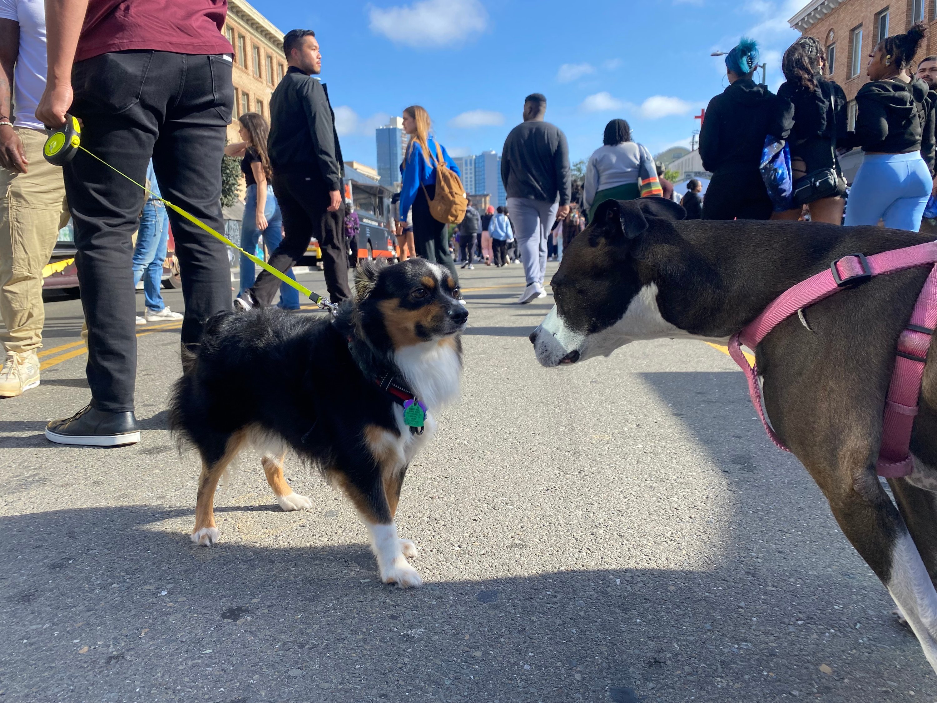 Unequal protection | Courthouse News Service