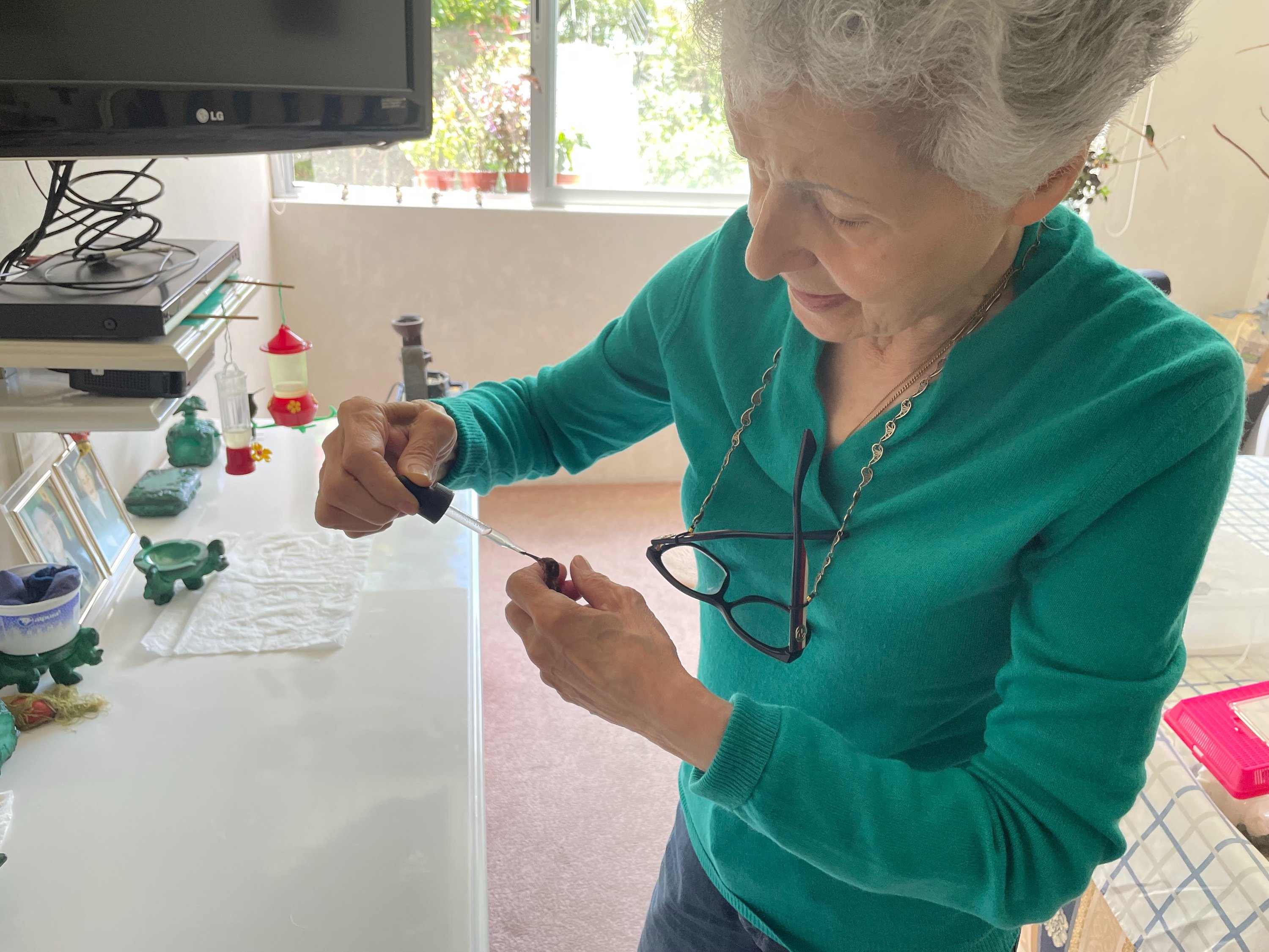 Meet the woman behind Mexico City’s hummingbird hospital | Courthouse ...