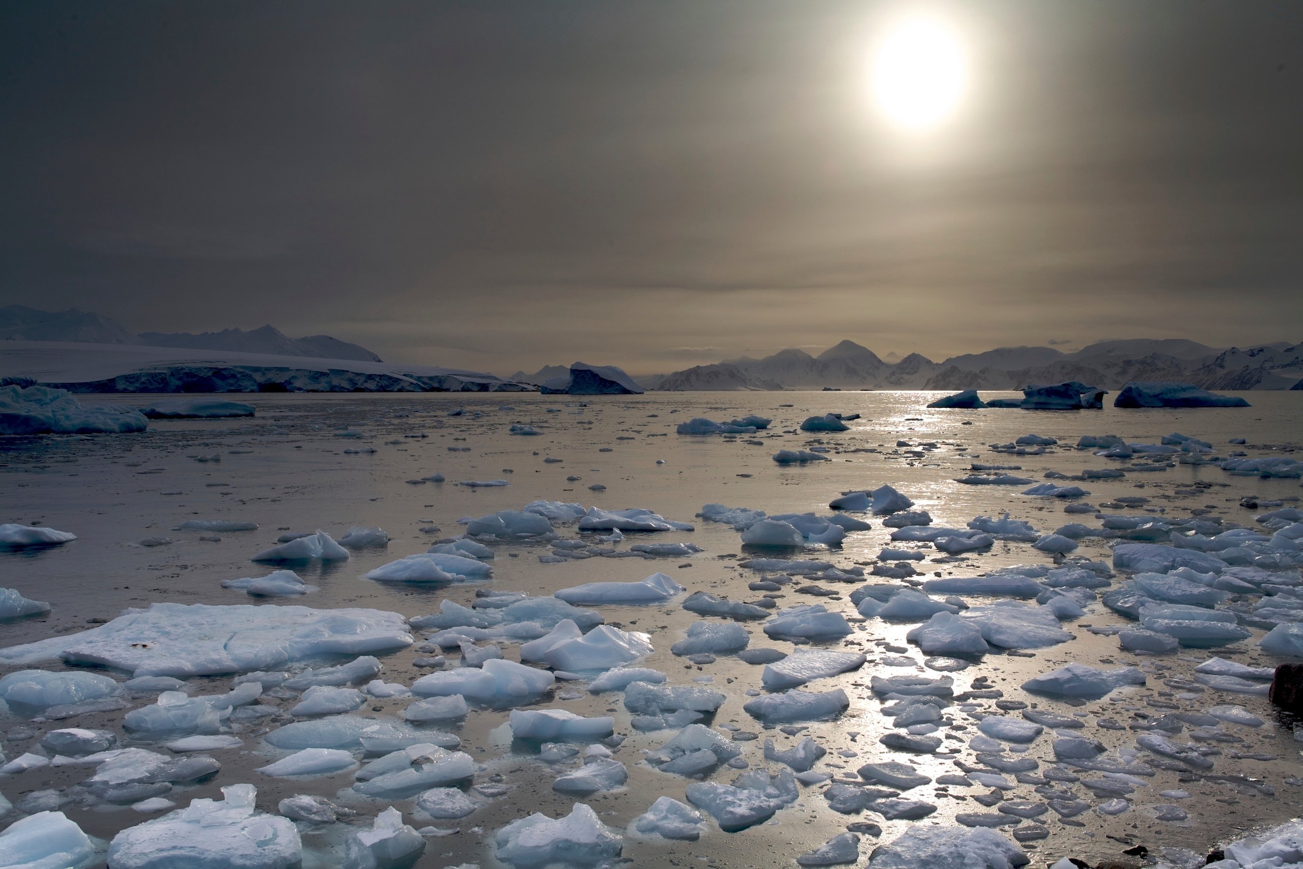 Scientists uncover ancient river landscape beneath East Antarctic Ice ...