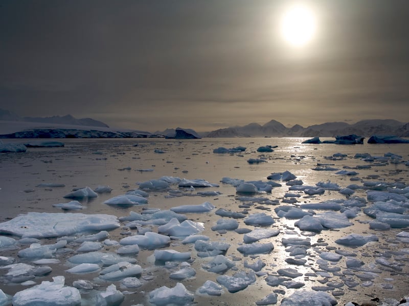 Antarctic Ocean losing ice faster than expected | Courthouse News Service